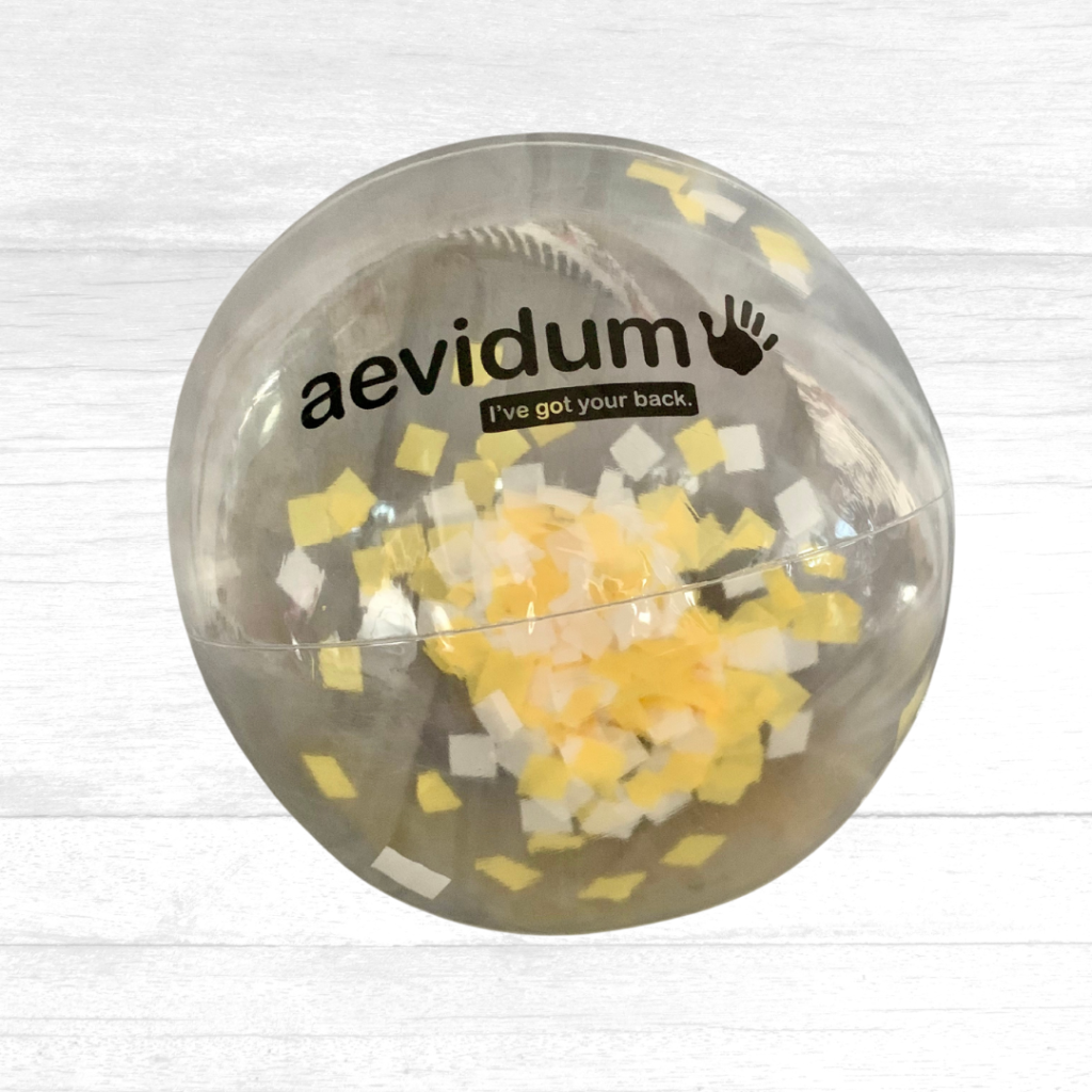 Aevidum – Aevidum inspires schools and communities to adopt cultures of ...