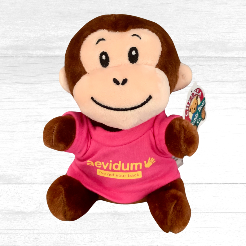 Aevidum – Aevidum inspires schools and communities to adopt cultures of ...